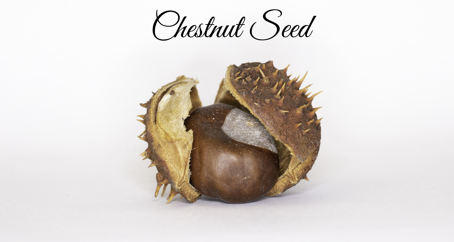 Chestnut Seed Extract – Antioxidant-Rich Skin Soother – La Pink